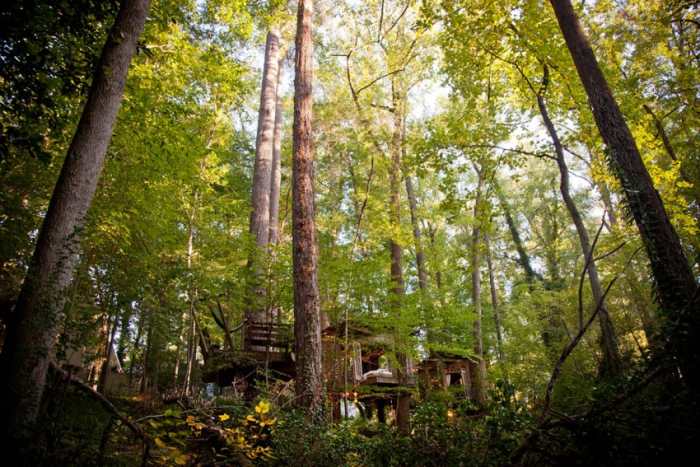 This Charming And Magical Treehouse Is A Pretty Legendary Airbnb - Airows