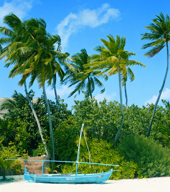 Cocoa Island Resort (Maldives) - Airows