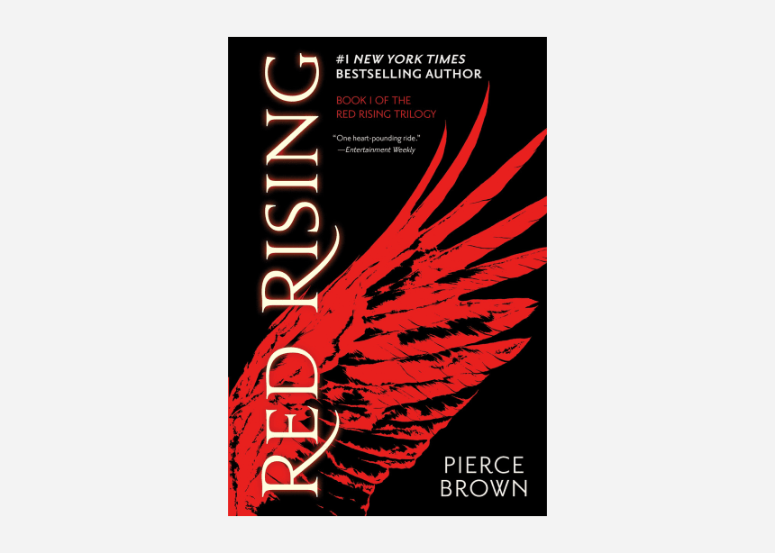 10 Cool Essentials for Your Next Tropical Getaway - Airows