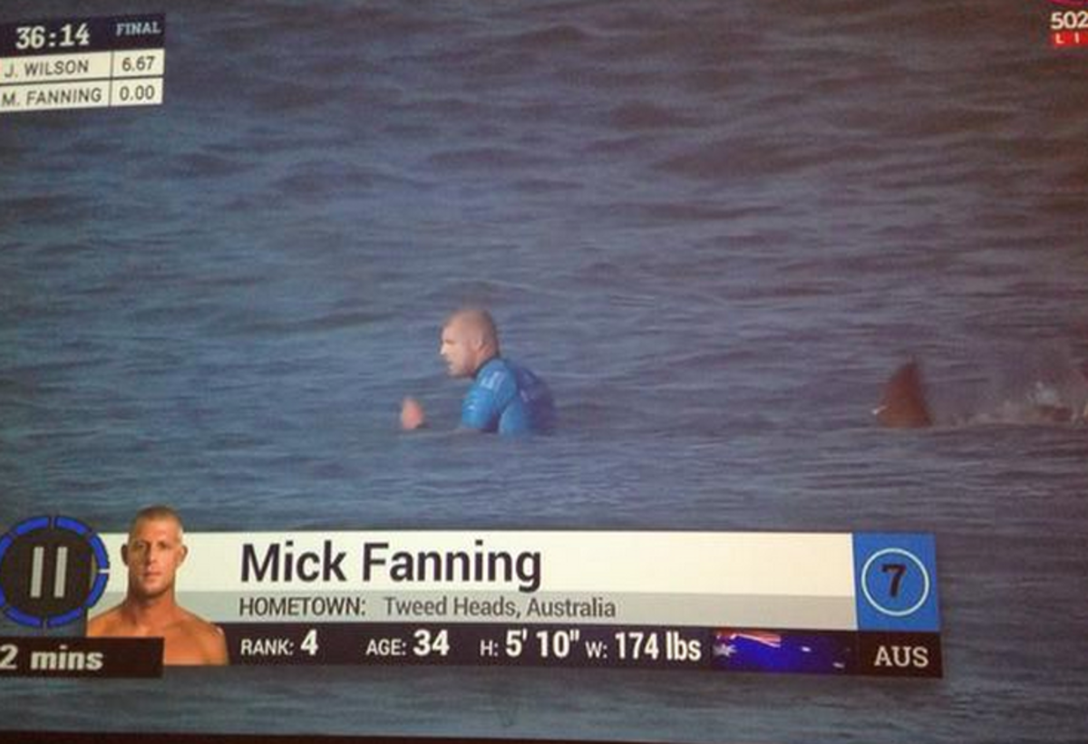 Pro-Surfer Fought Off A Shark Attack DURING A Competition - Airows