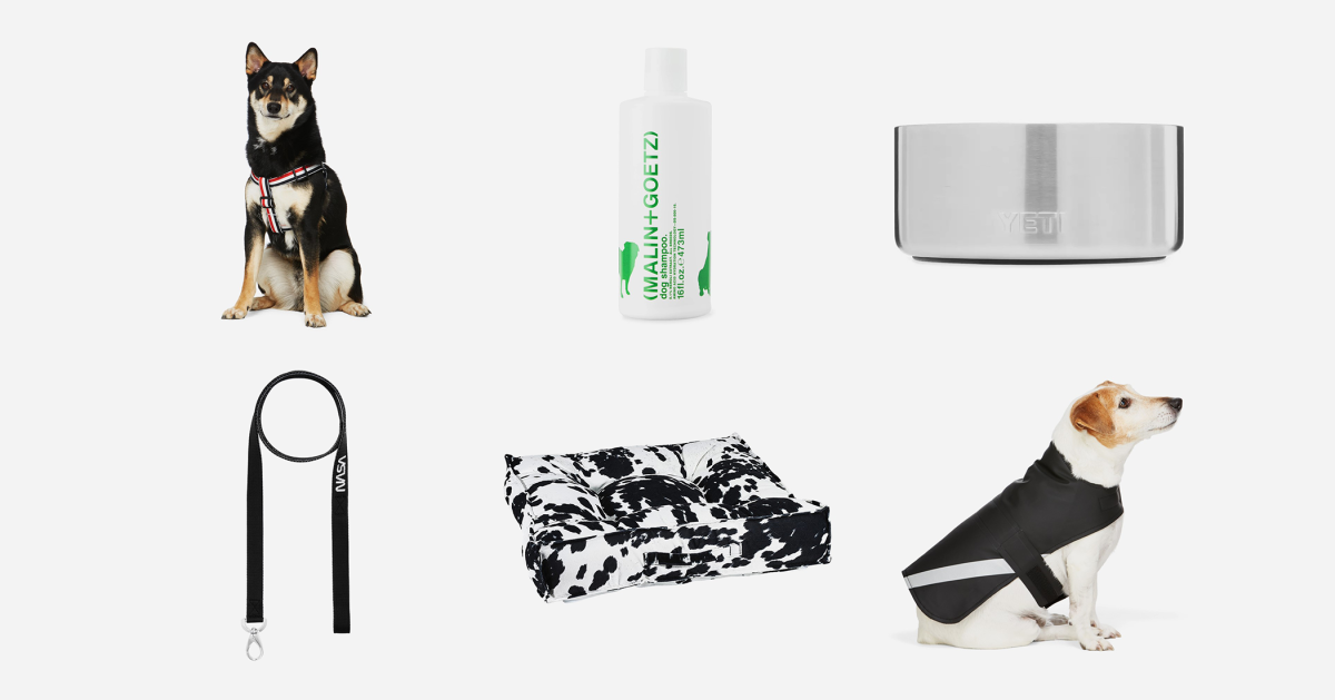 10 Stylish Dog Essentials for Your Four-Legged Friend - Airows
